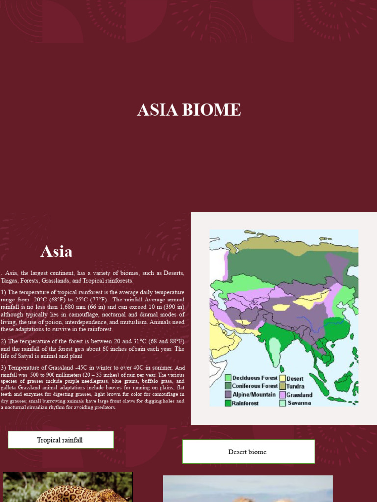 Asia Biome | PDF