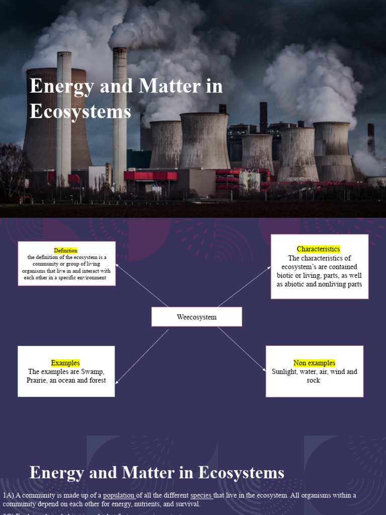 Energy and Matter in Ecosystems [Autosaved] | PDF
