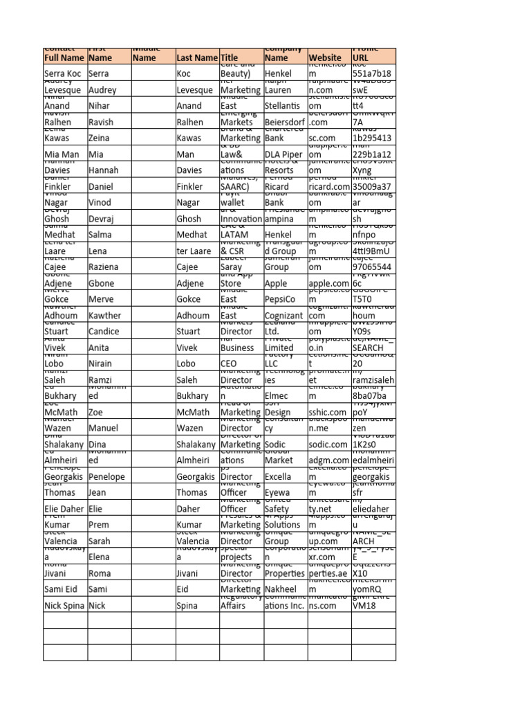 DXB LEADS | PDF | Companies | Brand