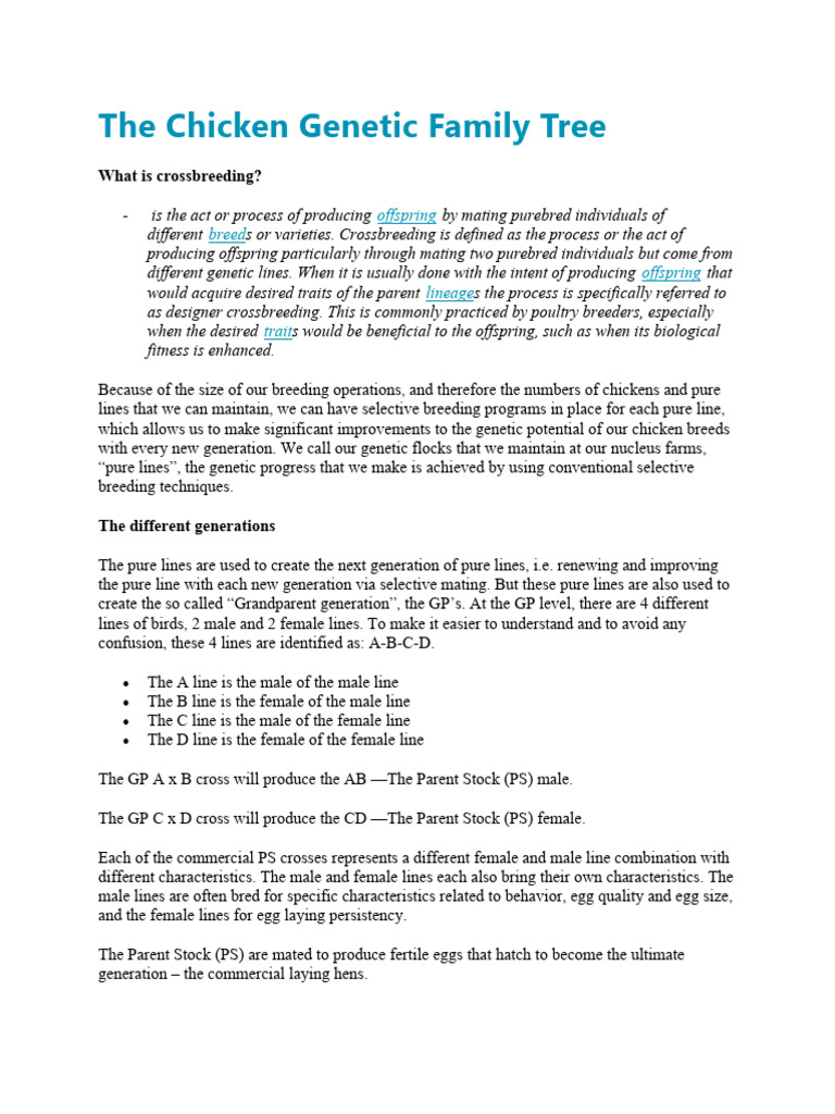 The Chicken Genetic Family Tree For Printing | PDF | Selective Breeding ...