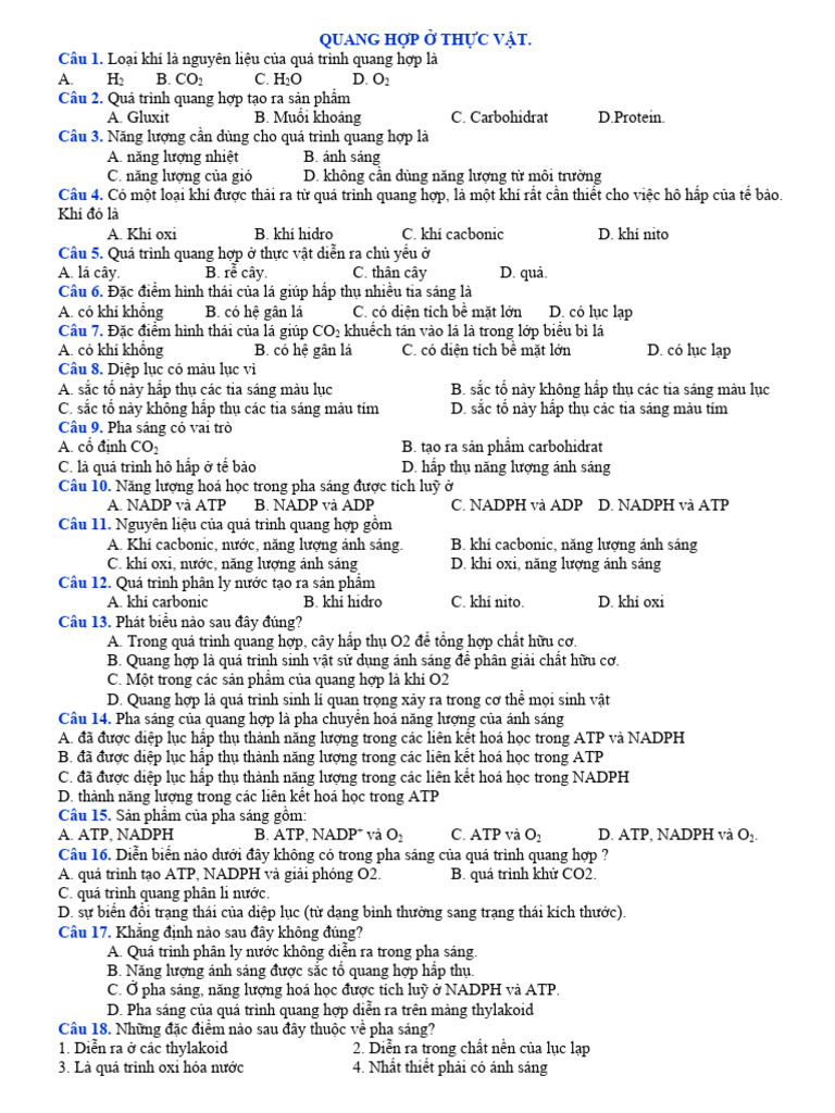 ĐỀ CƯƠNG GỬI HS ÔN GK 1 K11 BÀI 4,6,8 | PDF