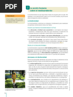 Velmar NF | PDF | Pintar | Materiales