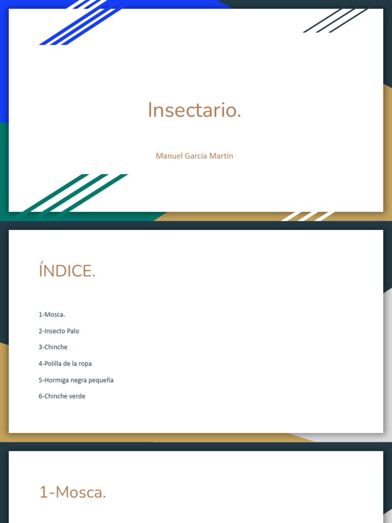 Insectario | PDF