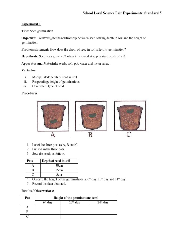 Standard 5 Science Experiments | PDF | Series And Parallel Circuits ...