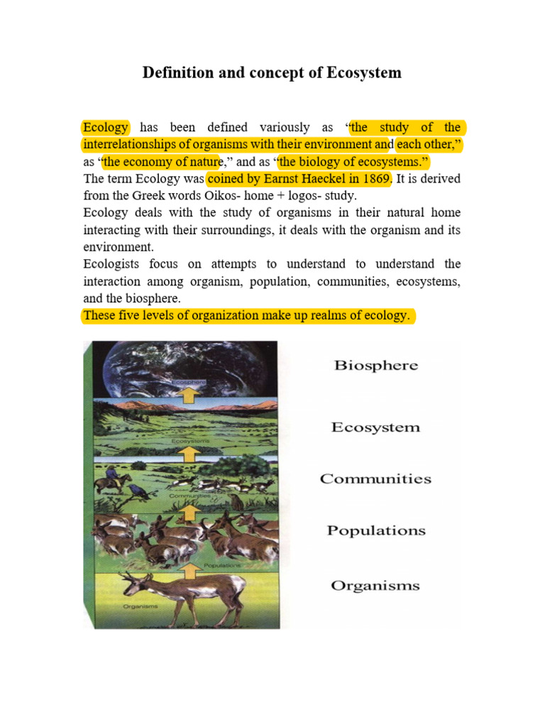 Evs Botany Notes Semester 1 | PDF | Food Web | Ecosystem