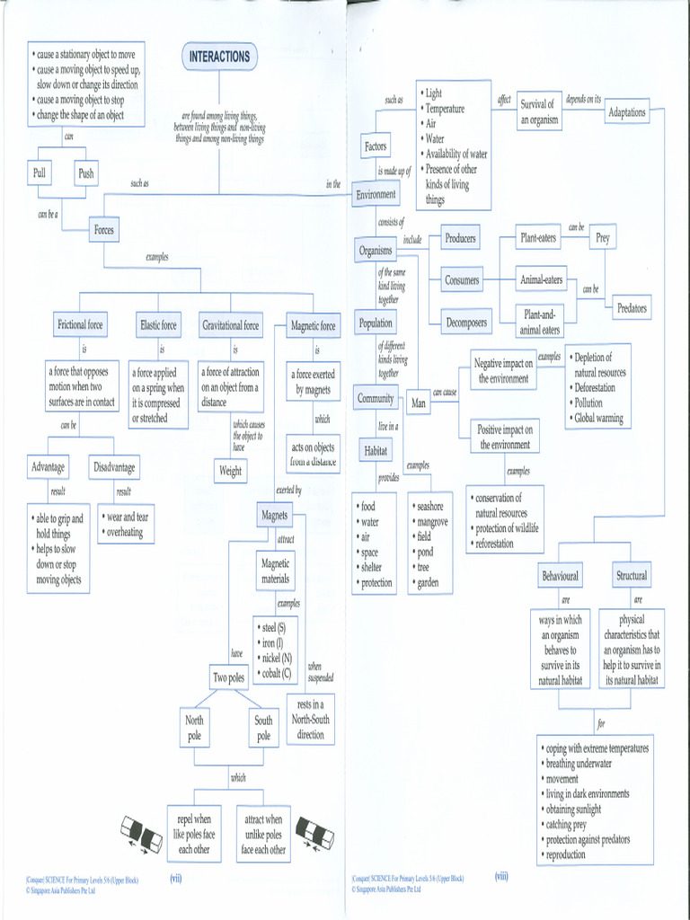 Interactions Mind Map | PDF