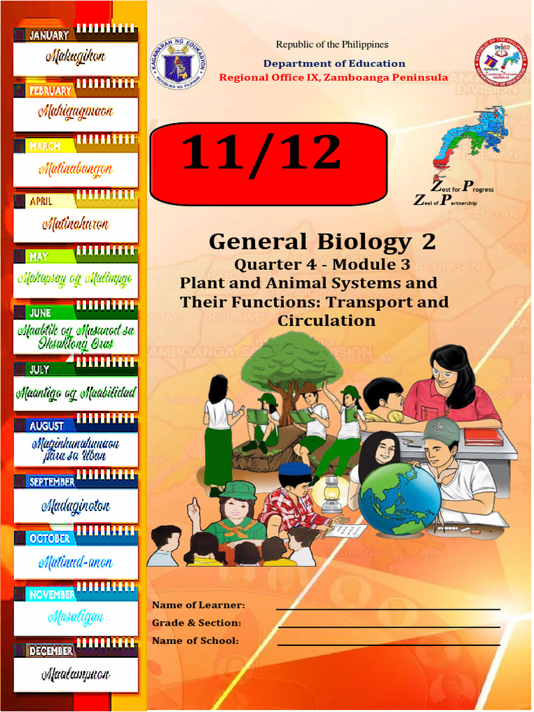 General Biology Q4 M3-Edited | PDF | Heart Valve | Vein