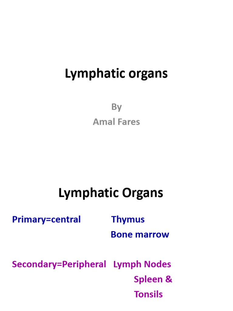 Lymphatic - 12 | PDF | Lymph Node | Lymphatic System