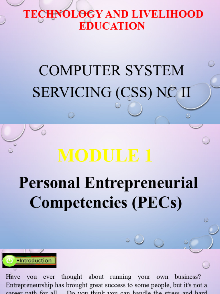 Pecs CSS | PDF | Entrepreneurship | Goal