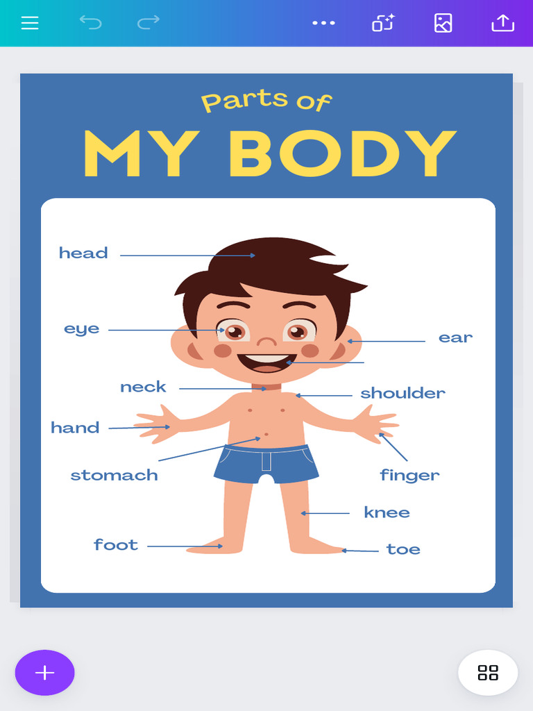 Parts of My Body Poster - Plakat | PDF