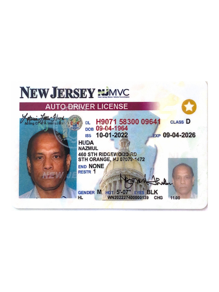 Auto Driver License | PDF