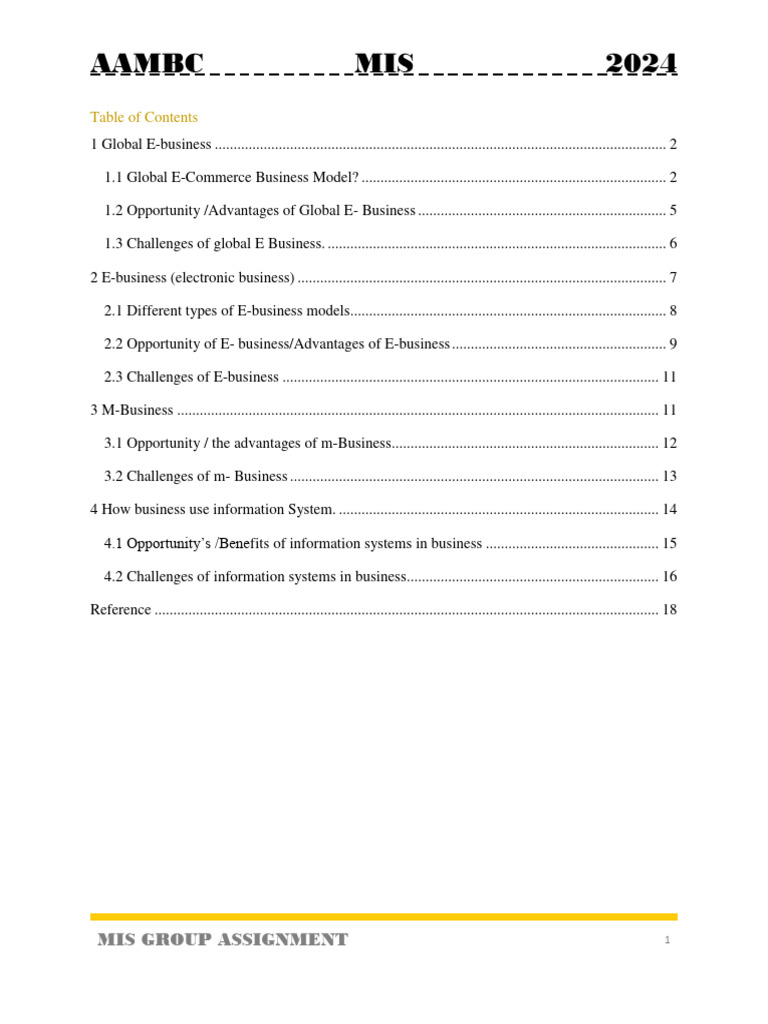 MIS Assignment by Geleta | PDF | E Commerce | Electronic Business
