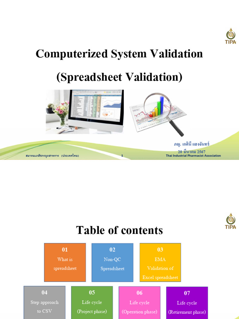 03-Spreadsheet Validation | PDF