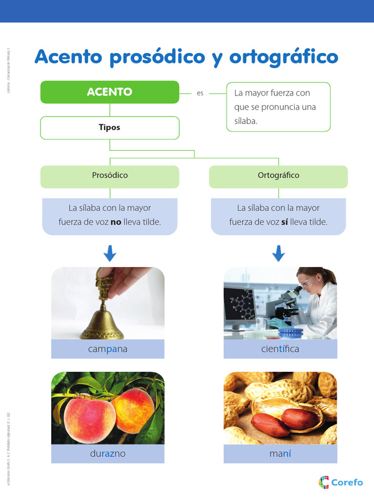LÁMINA - Acento Prosódico y Ortográfico | PDF