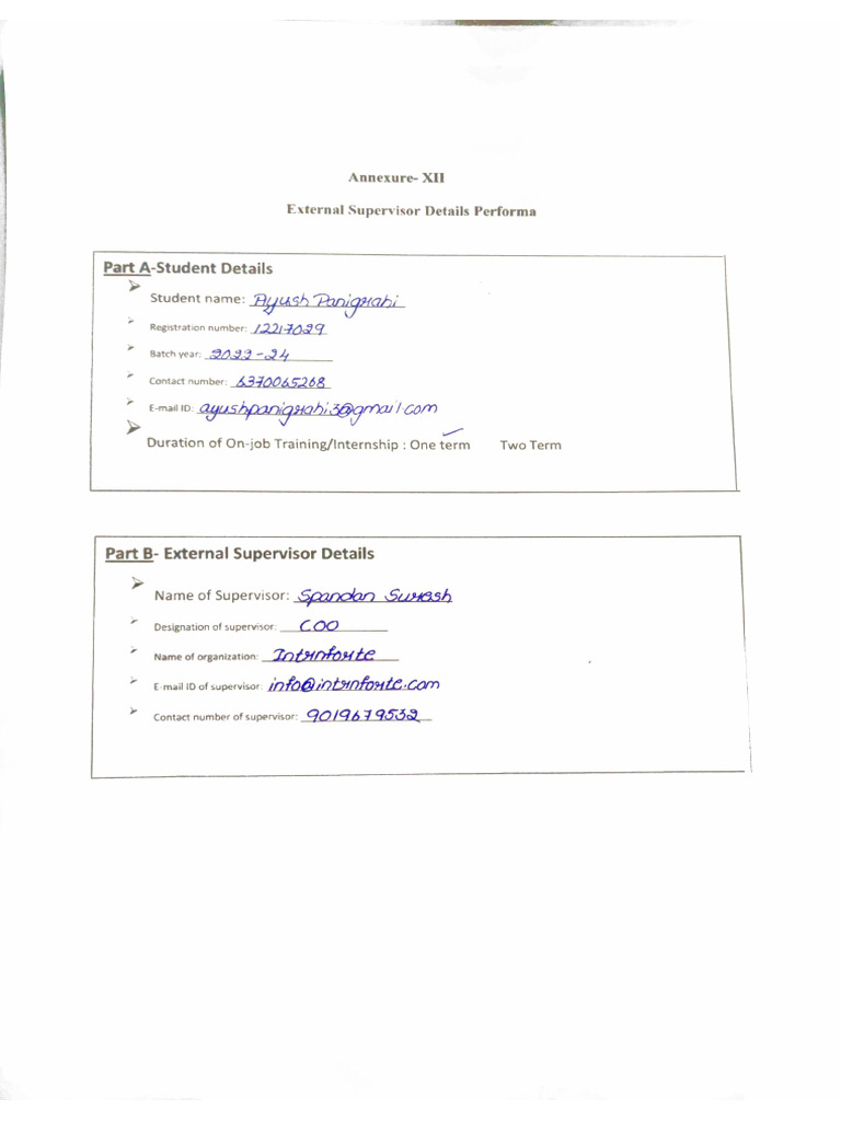 External Mentor Details | PDF