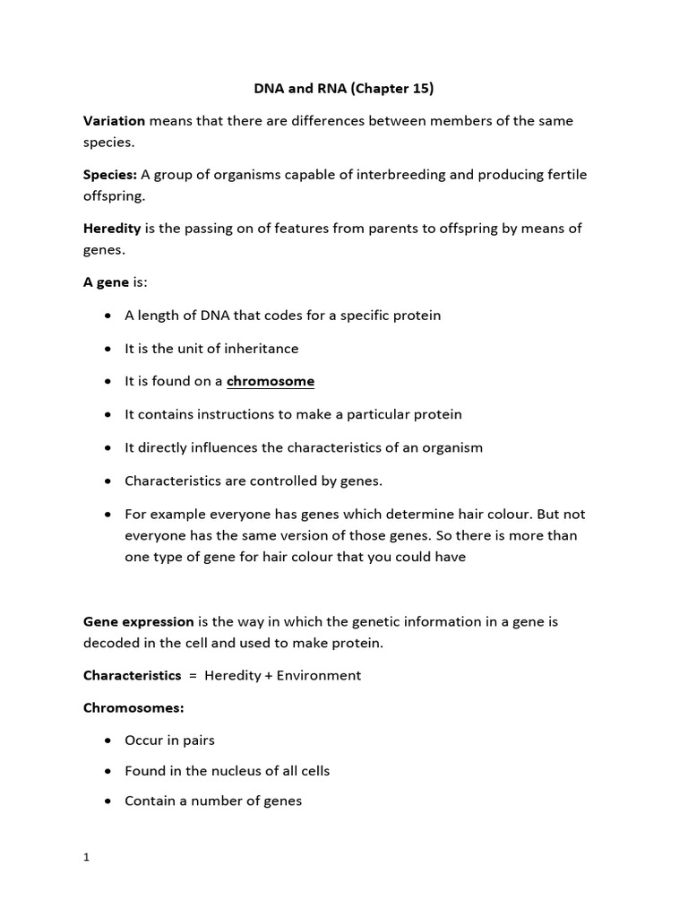 DNA and RNA: Structure and Function | PDF | Dna | Nucleotides