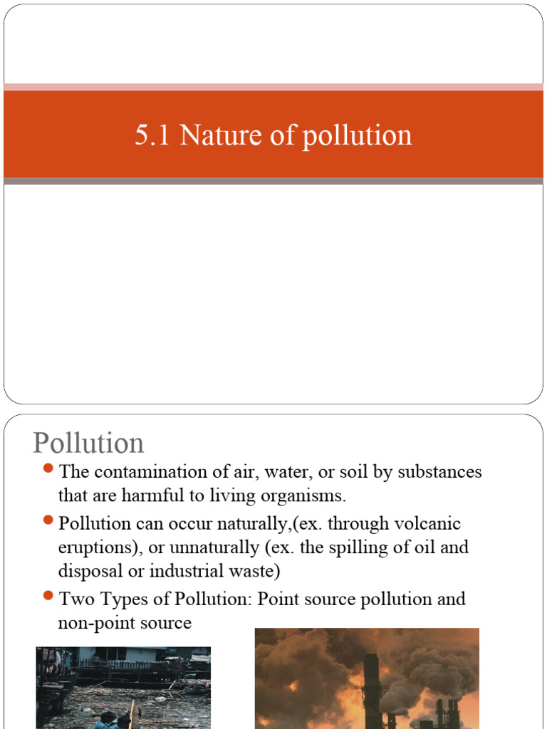 Understanding Pollution: Types and Impacts | PDF | Pollution | Petroleum