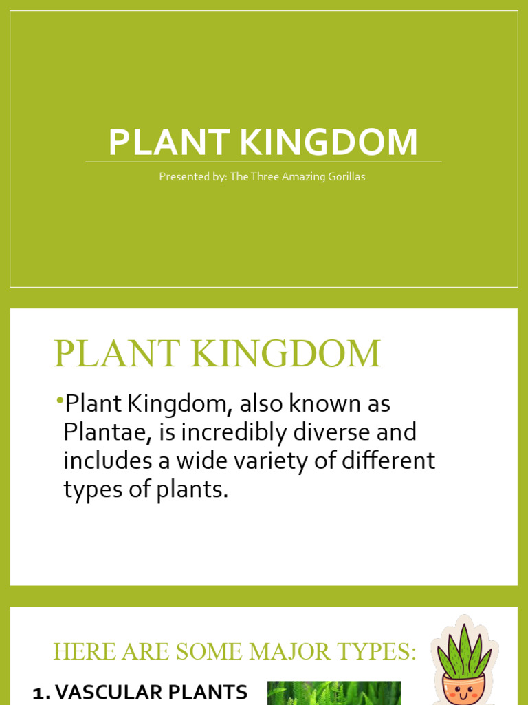 Plant Kingdom | PDF | Plants | Botany