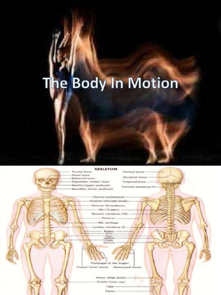 The Body in Motion Ss 1 | PDF
