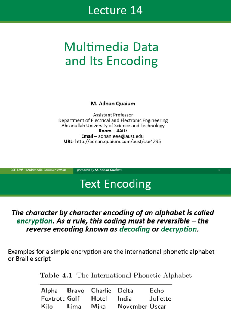 Multimedia Data Encoding Techniques | PDF | Data Compression | Character Encoding