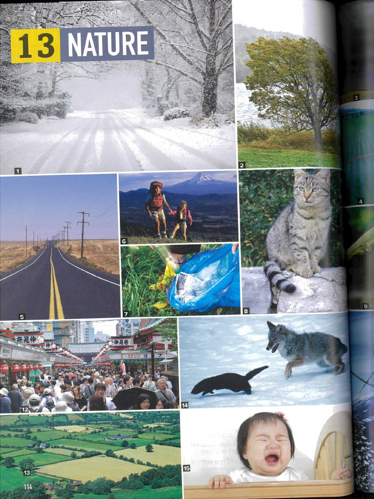 Outcomes Elementary SB Unit 13 | PDF