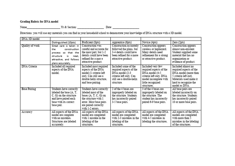 DNA Model Grading Rubric | PDF | Base Pair | Dna