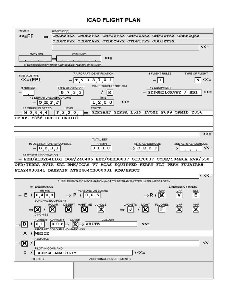 Aviation Professionals' Flight Plan | PDF