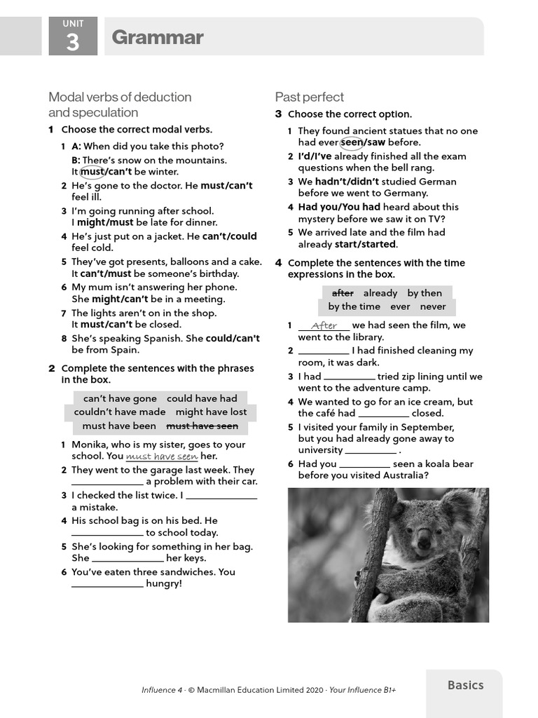 Modal Verbs & Past Perfect Grammar | PDF | Syntax | Grammar