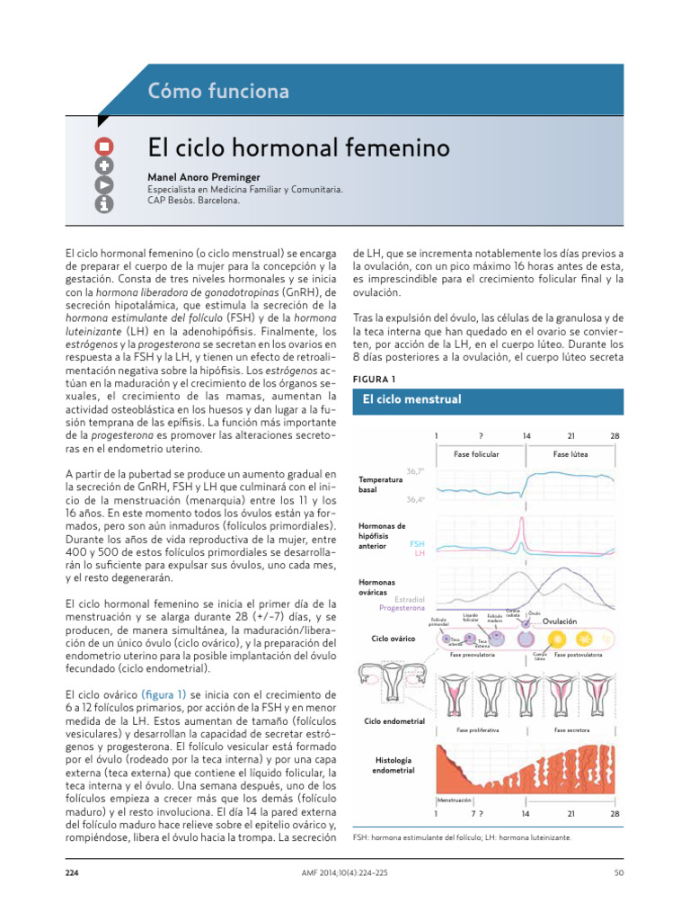 Amf Ciclo Femenino | PDF | Hormona luteinizante | Ciclo menstrual