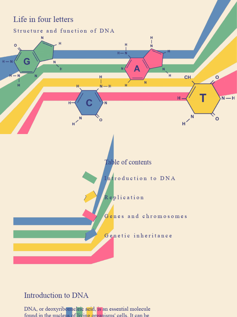 Structure and Function of DNA Presentation in Colorful Retro ...