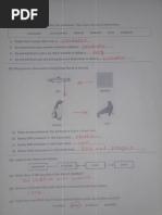 Year 6 ScienceCheckpoint 2025 | PDF | Rock (Geology) | Force