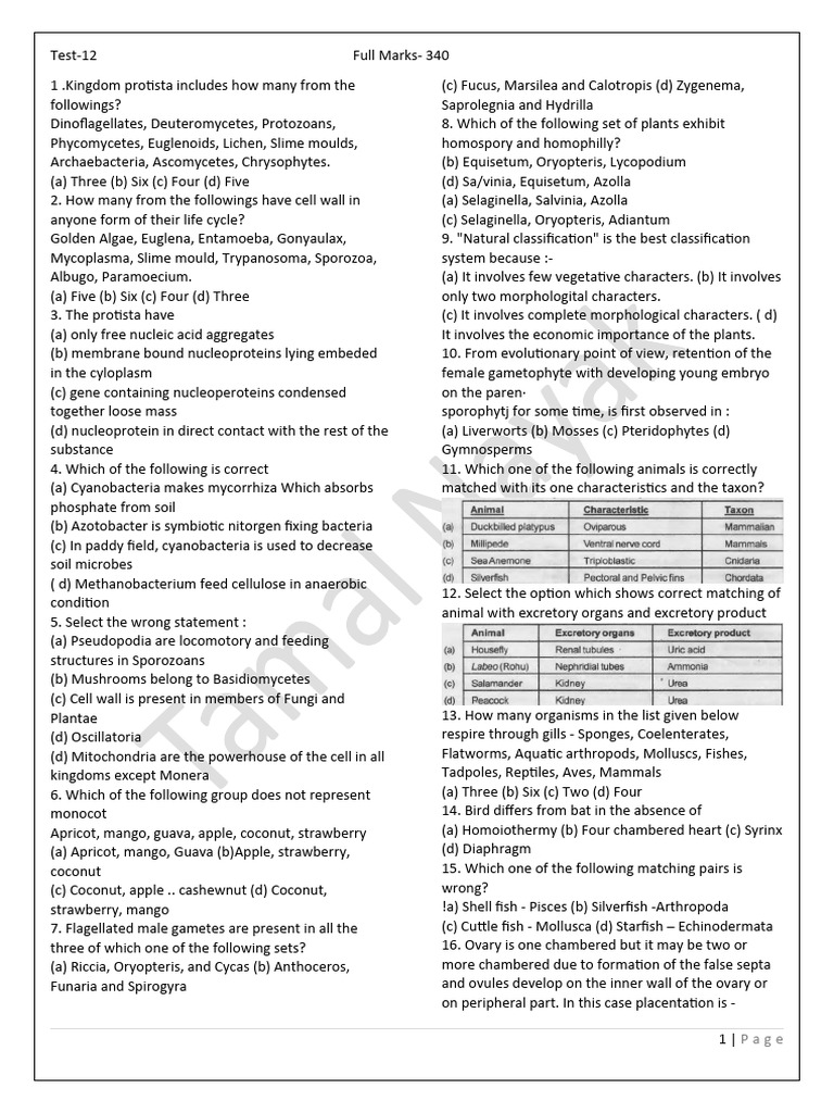 Test 12 Exam | PDF | Muscle | Genetic Code