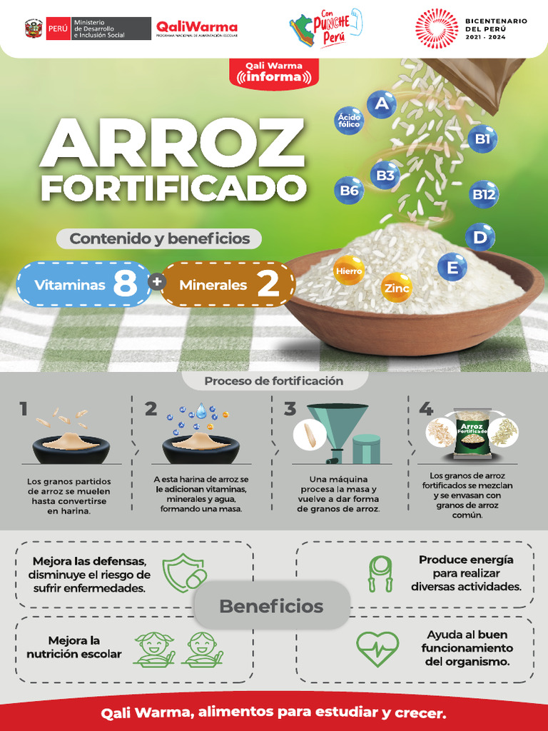 Infografia - Arroz Fortificado A3 | PDF