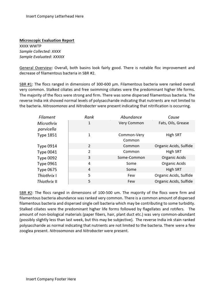 Example Microscopic Evaluation Report | PDF | Bacteria | Fat