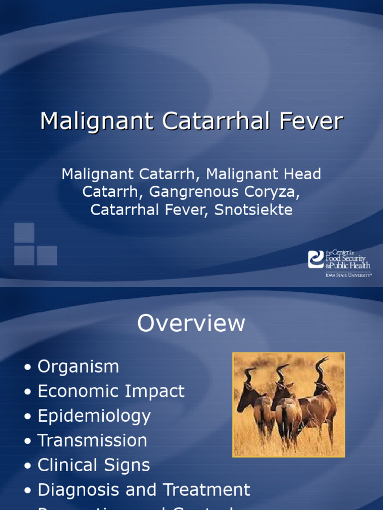 Understanding Malignant Catarrhal Fever | PDF | Medical Specialties ...