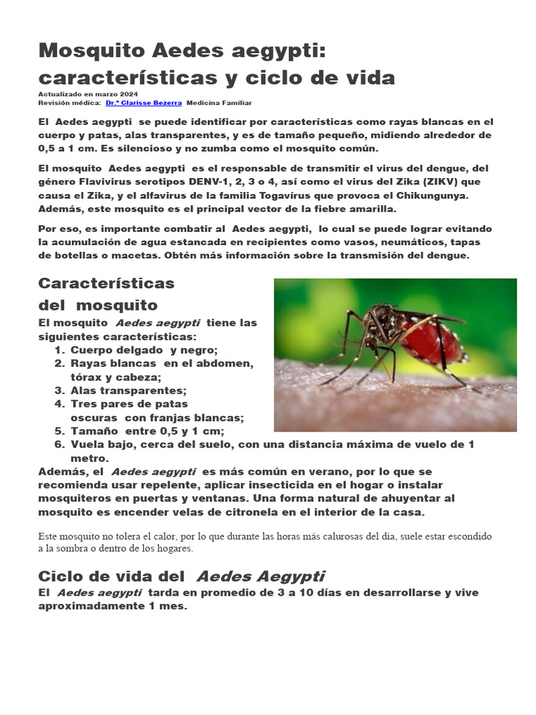 Aedes aegypti: características y ciclo de vida | PDF | Mosquito | Aedes aegypti