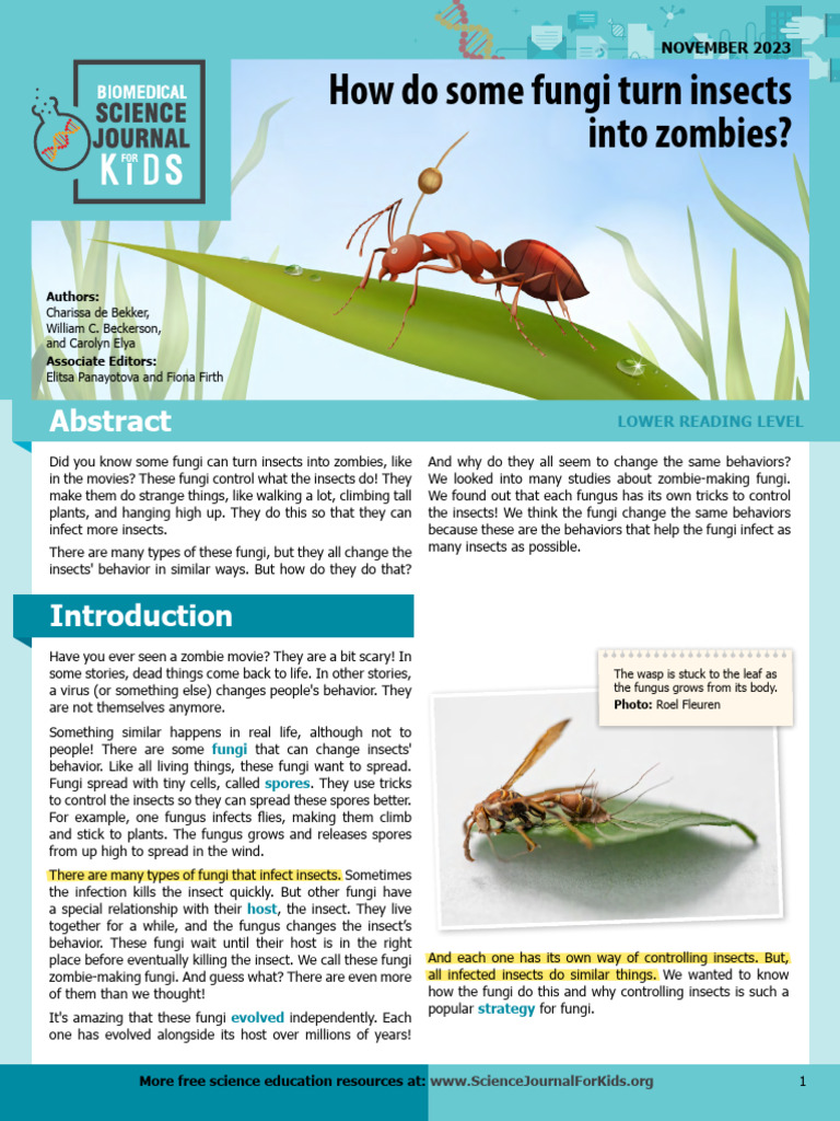 Zombie Fungi | PDF | Fungus | Ant