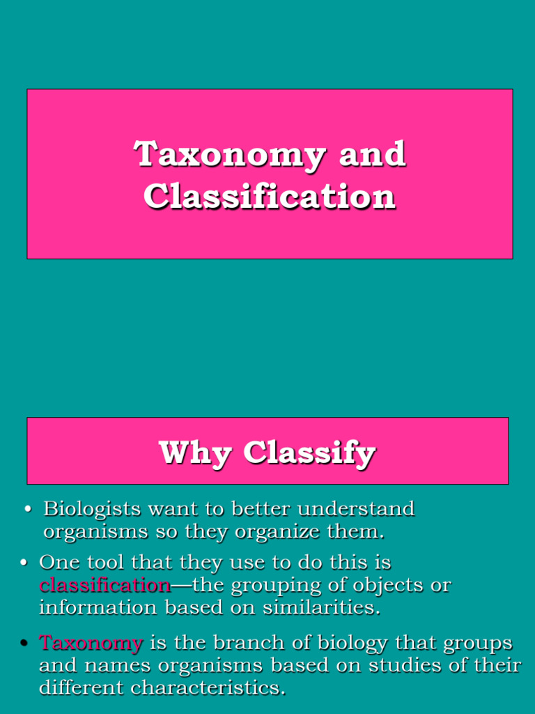 Taxonomy Classification | PDF | Cell (Biology) | Eukaryotes