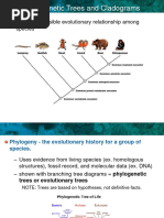 Steps To Construct A Phylogenetic Tree Using MEGA Software | PDF ...