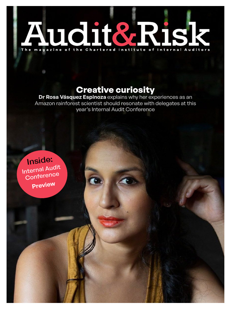 Audit Risk Oct 2023 1712415584 | PDF | Cost Of Living | Internal Audit