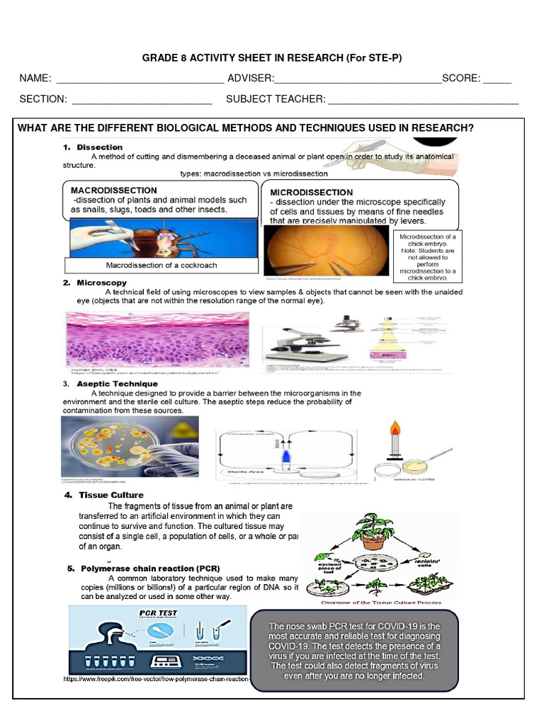 Research II QTR 3 Biological Methods | PDF | Polymerase Chain Reaction ...