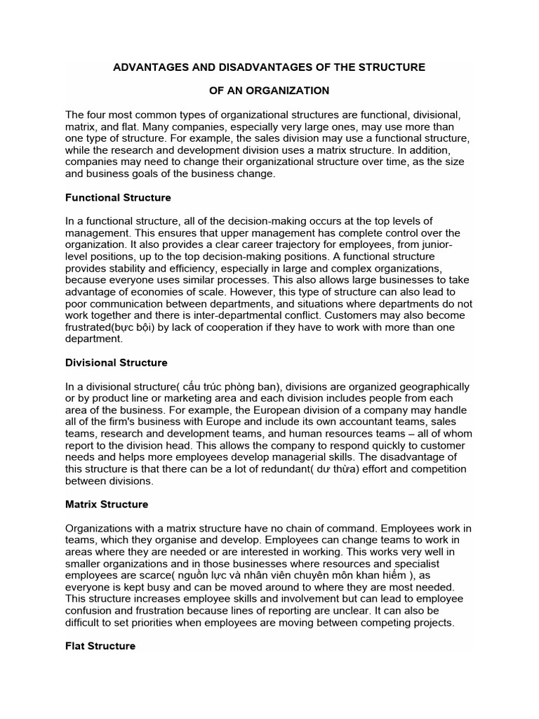 ADVANTAGES AND DISADVANTAGES OF THE STRUCTURE | PDF | Organizational ...