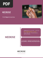 Padrões Morfológicos da Necrose Celular | PDF | Necrose | Célula (Biologia)