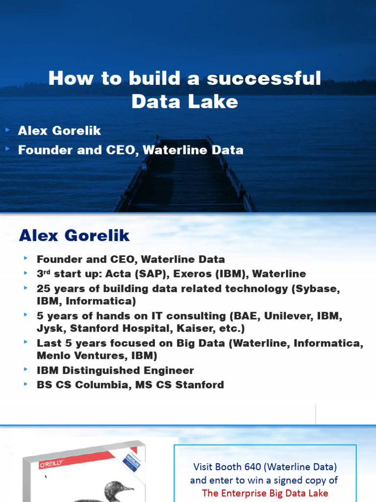 Building a Successful Data Lake | PDF | Metadata | Data