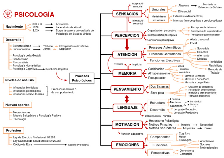 Mapa Conceptual Intro A La Psicología | PDF | Sicología | Percepción