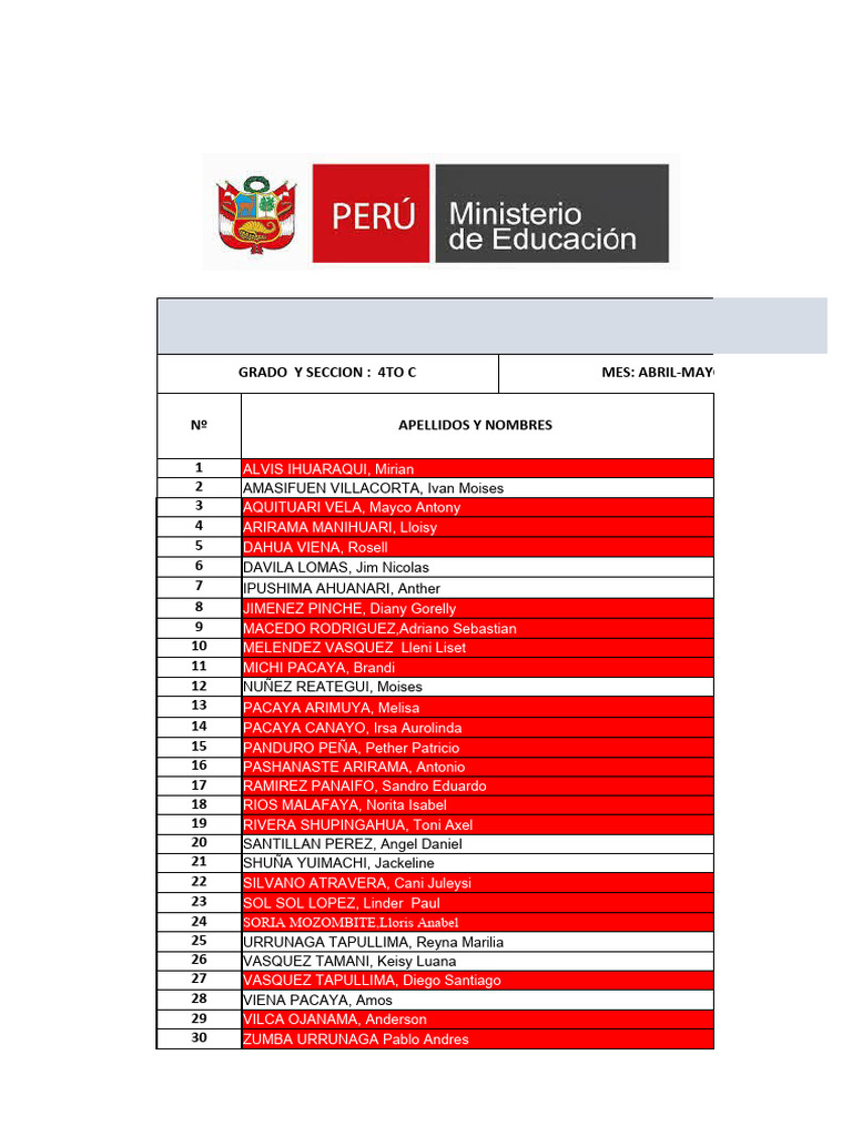 Registro Mensual 4C | PDF