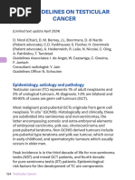 Testis Tumor Examination Protocol 4.0.1.0 | PDF | Metastasis | Neoplasms
