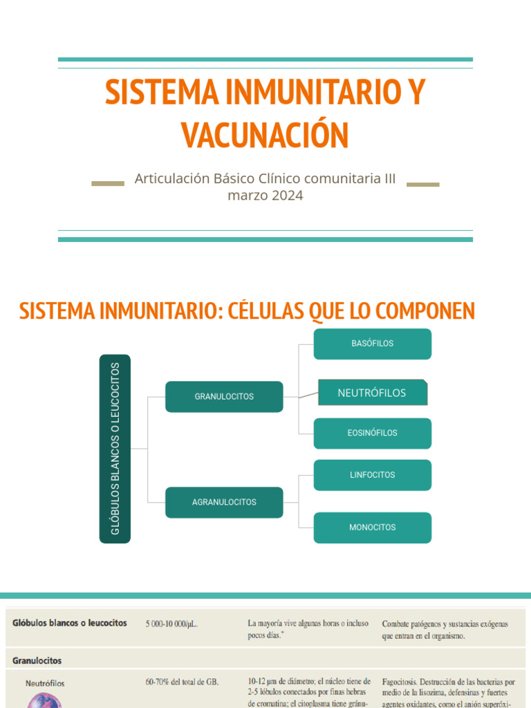 Sistema Inmunitario y Vacunación | Descargar gratis PDF | Sistema inmune | Inflamación