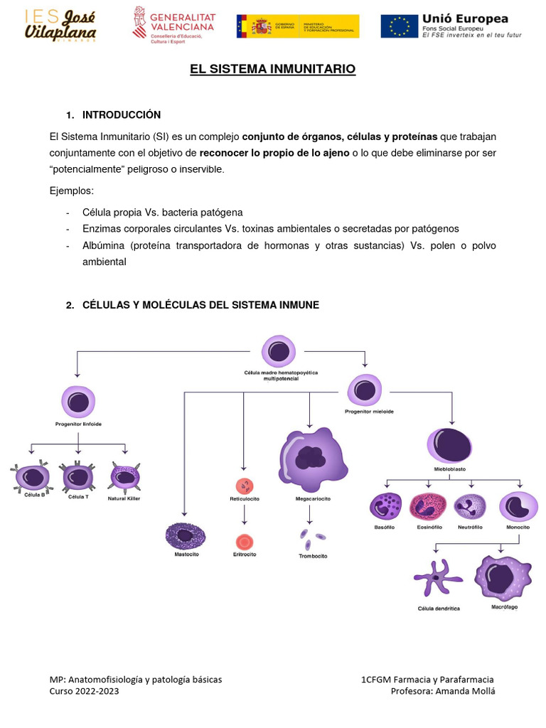 Tema 12 - El Sistema Inmunitario | PDF | Sistema inmune | Sistema inmune innato