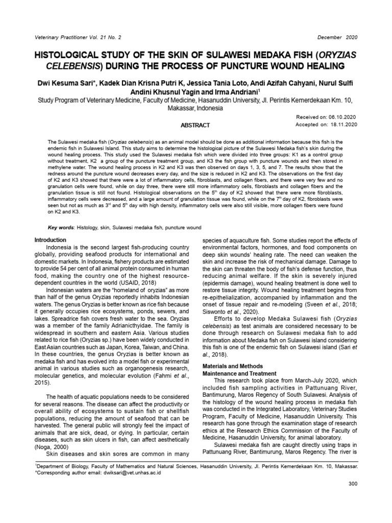 Histological Study of The Skin of Sulawesi Medaka Fish (Oryzias ...